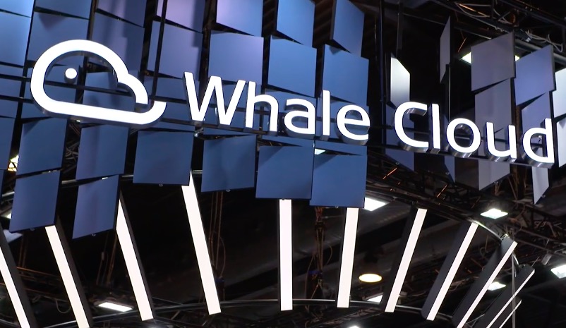 Insights of Whale Cloud