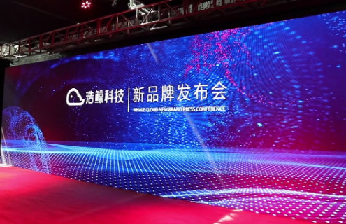 New Whale Cloud Brand Launched, Planning to Spend One Billion Yuan in ...
